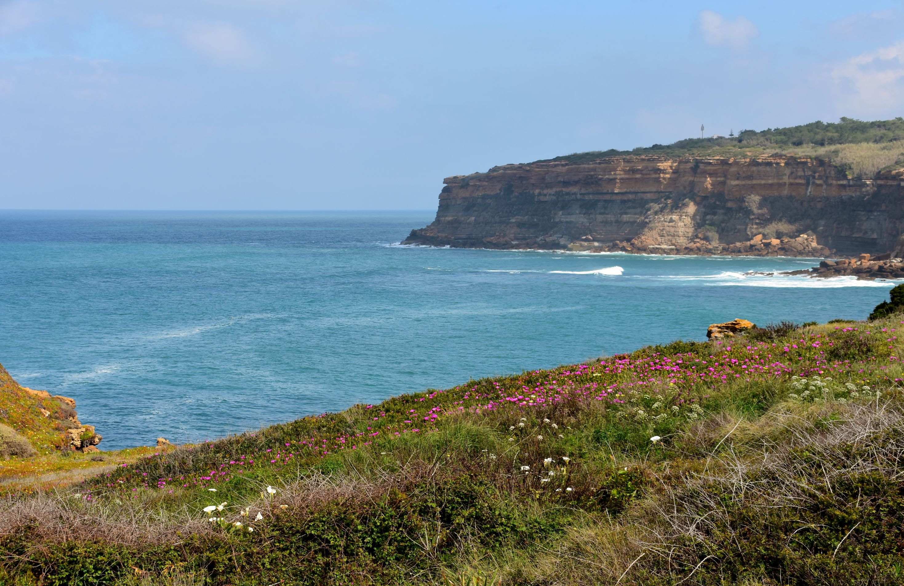 Morfologia do litoral português: acidentes do litoral | #EstudoemCasa@