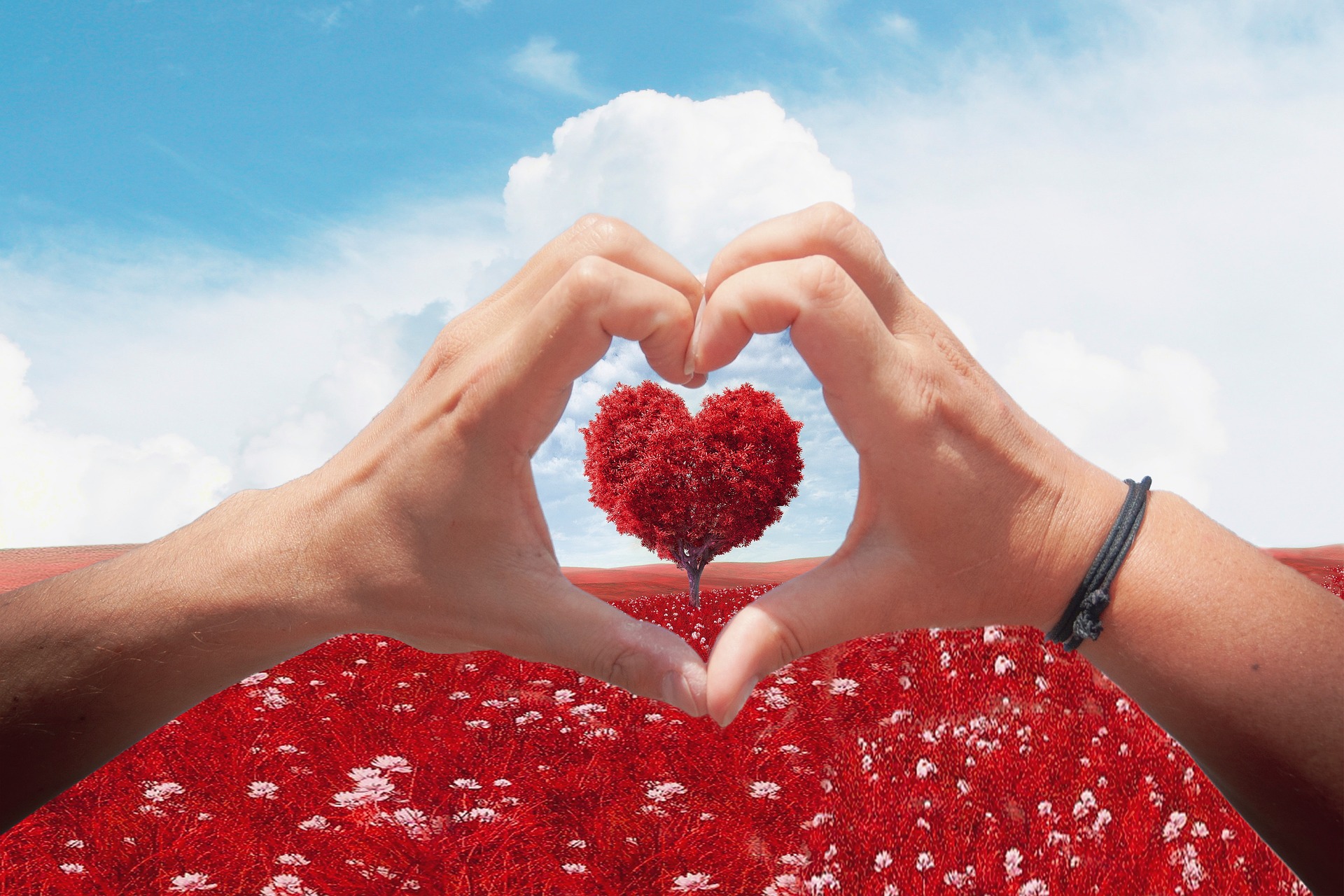 Der Valentinstag | #EstudoemCasa@