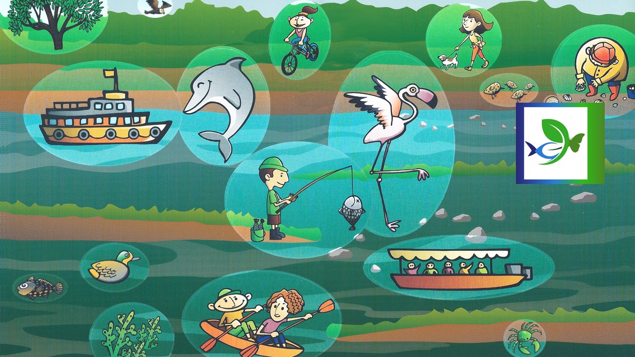 Estuário do Tejo | #EstudoemCasa@