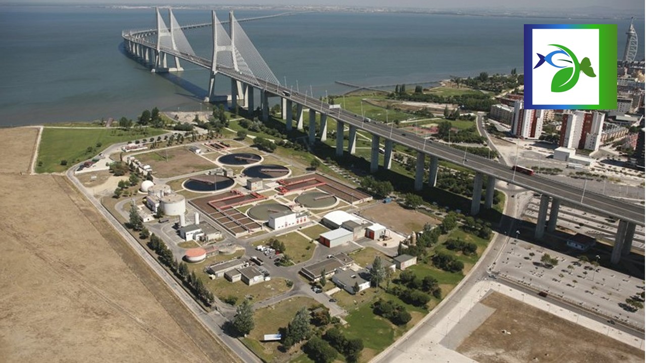 Como funciona uma ETAR? | #EstudoemCasa@