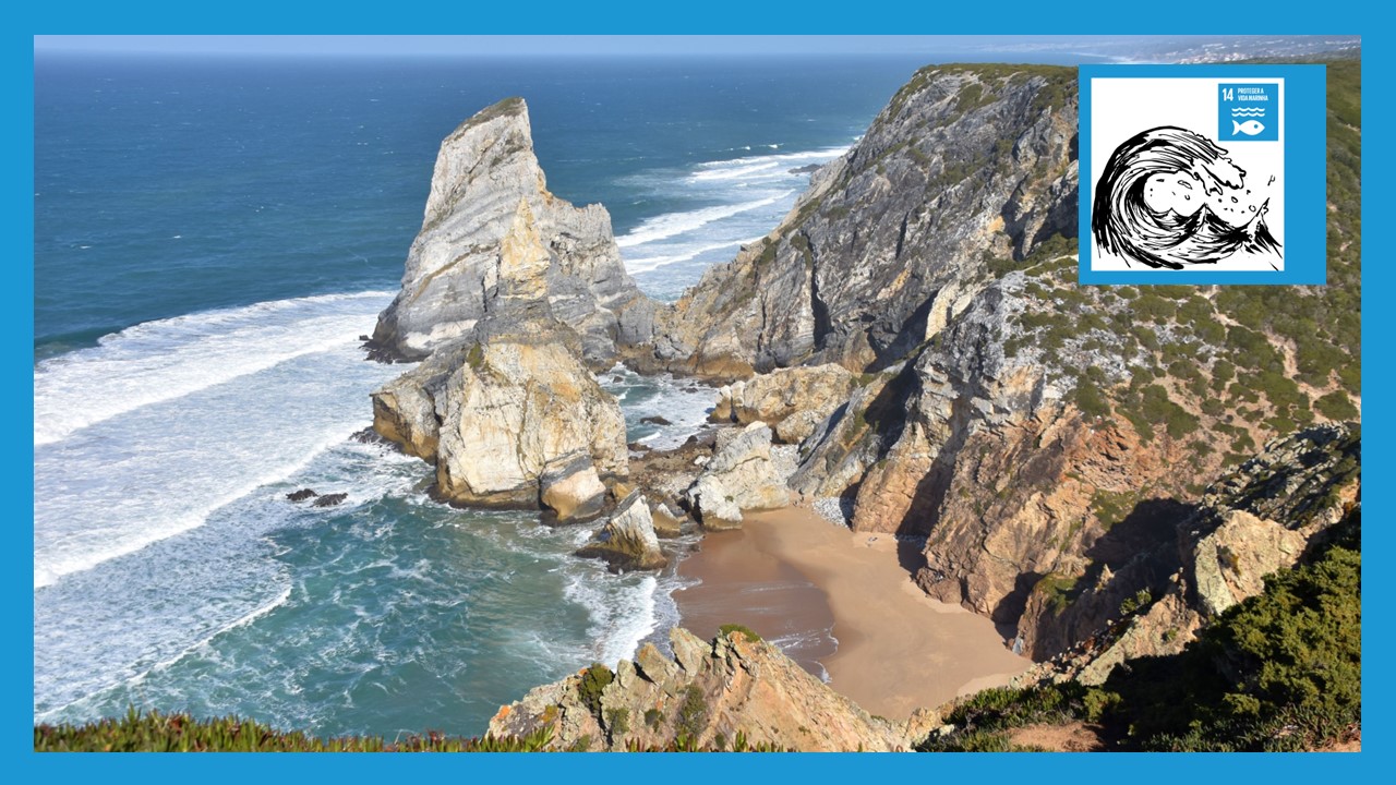 Tipos de costa | #EstudoemCasa@